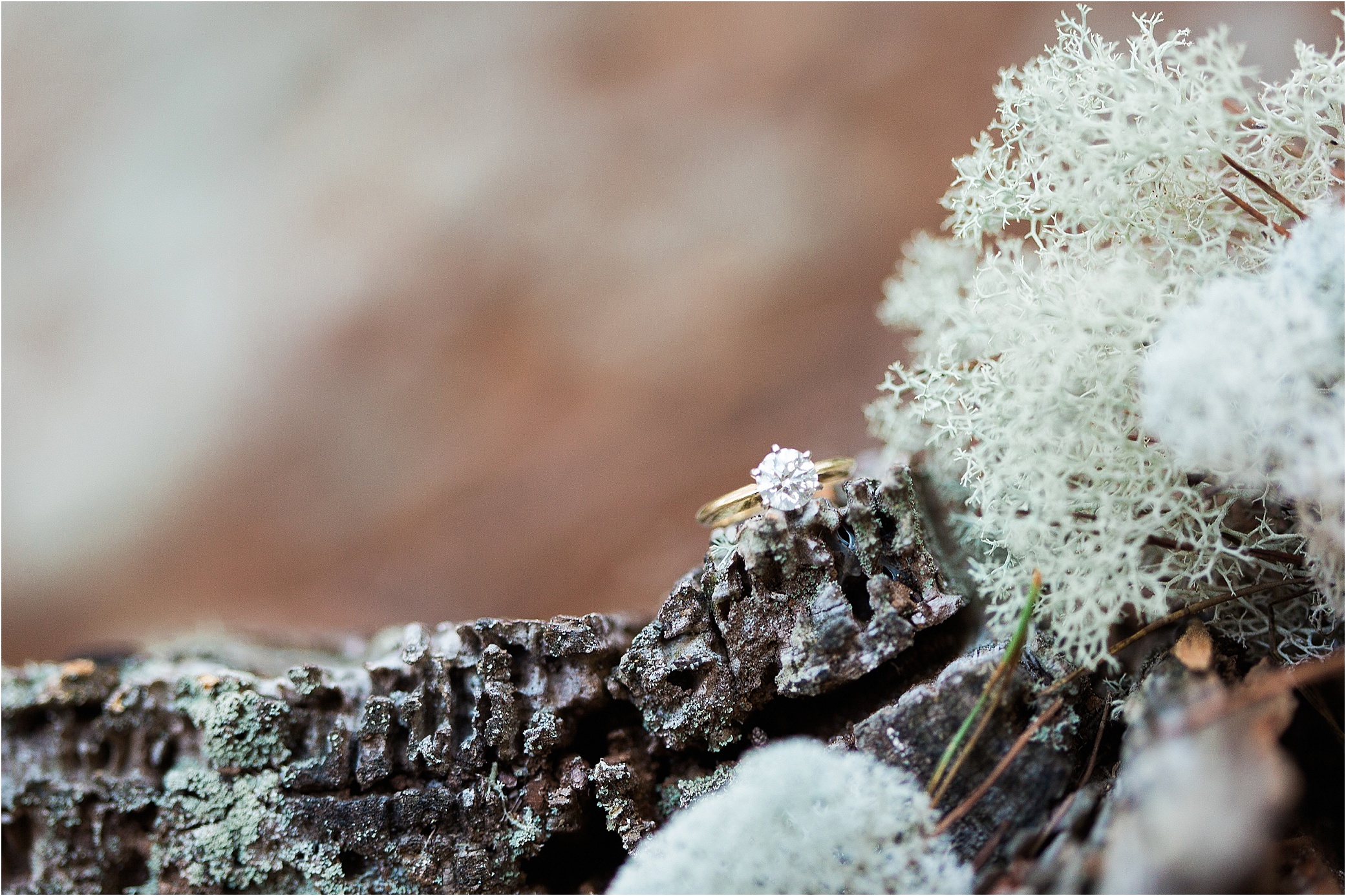 Mark & Amanda » Bumblebee Photography – Santa Rosa Beach, Florida